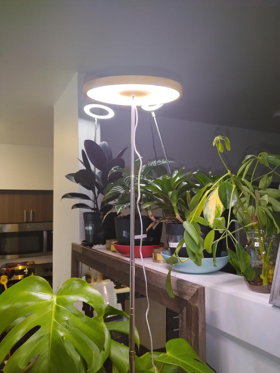 The Power of Timed Grow Lights: How Yadoker’s Light Cycles Support ...