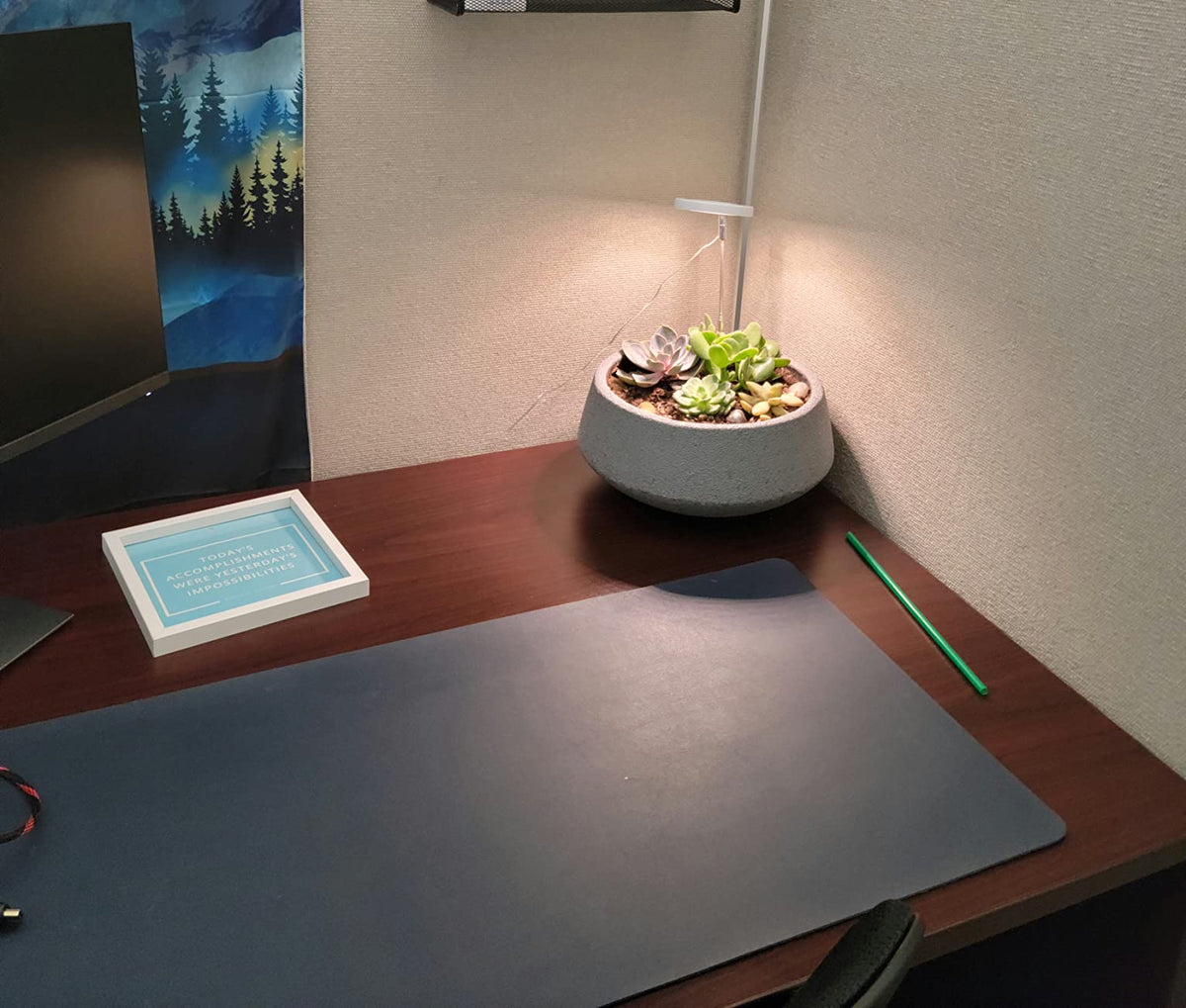 Various sizes of plant lights: Why do we design them this way?– Yadoker